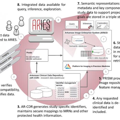 Platform for Imaging in Precision Medicine (PRISM) – A prismatic array ...